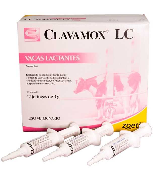 Antibiótico CLAVAMOX® LC | Croper