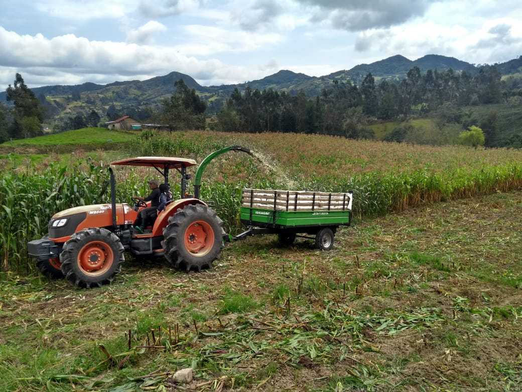 Servicio de Tractor para Cosecha de silo de Maiz | Croper
