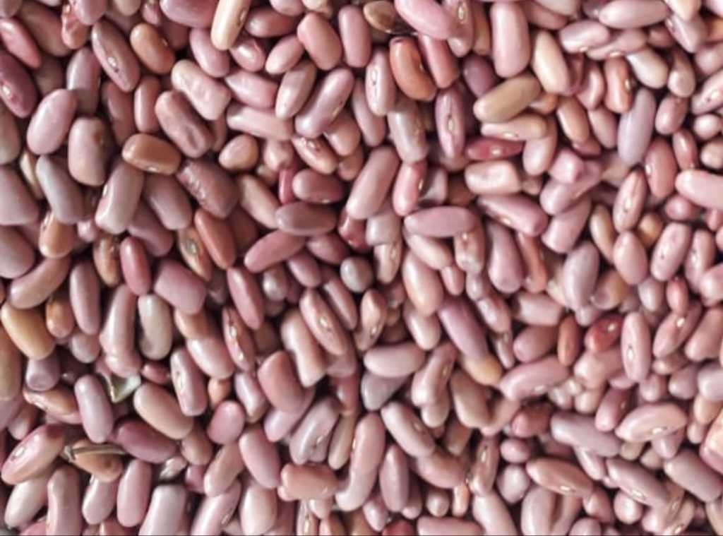 Frijol Rosado | Croper