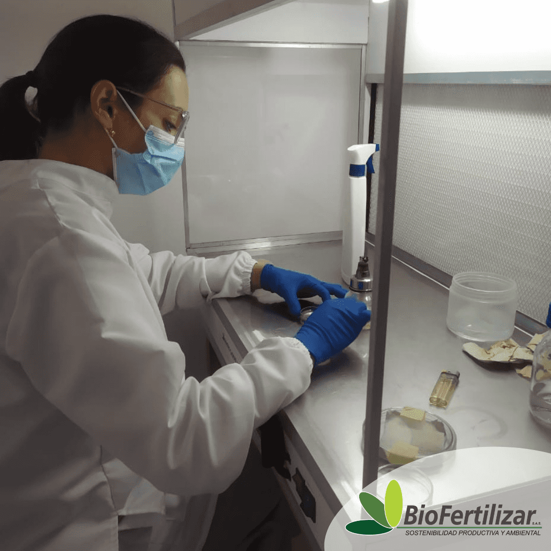 Análisis Fitopatológicos Y Manejo Fitosanitario Croper