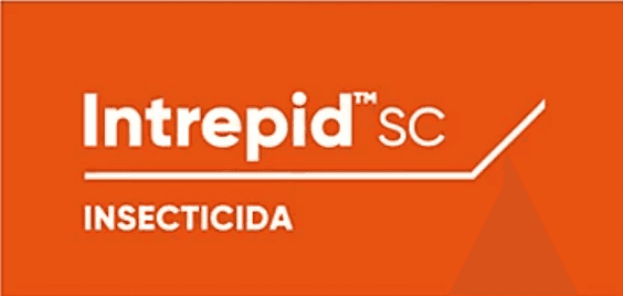 Intrepid | Croper