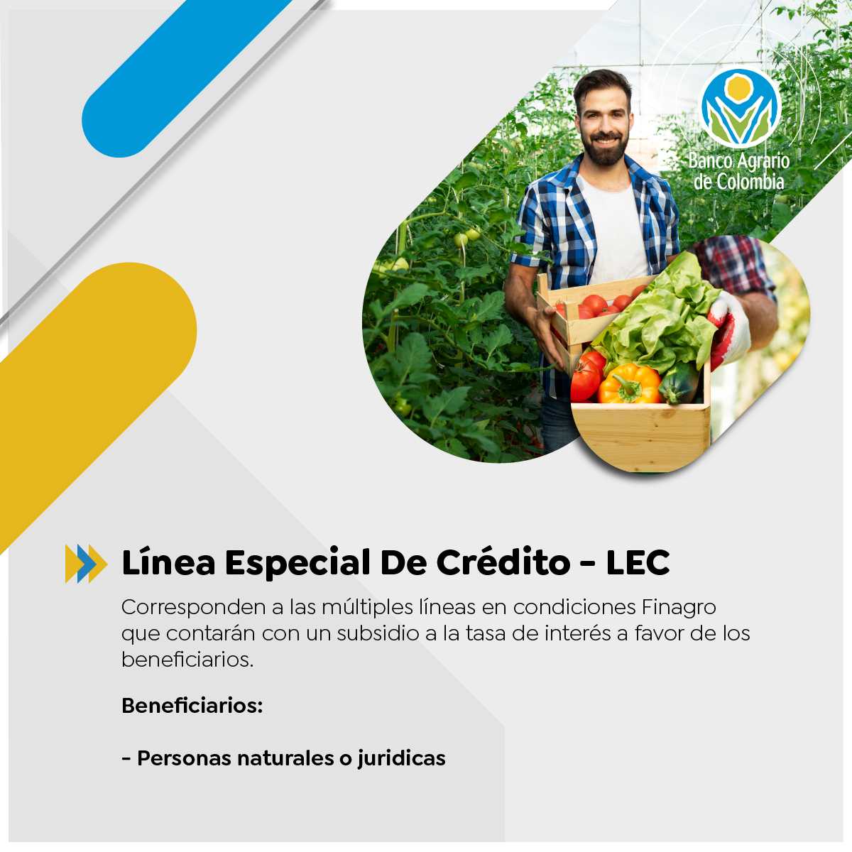 Línea Especial de Crédito - LEC | Croper