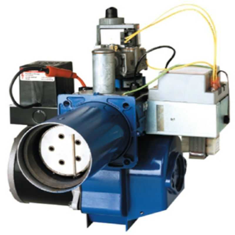 Quemador de Gas Wayne Hsg 400 de 9 | Croper