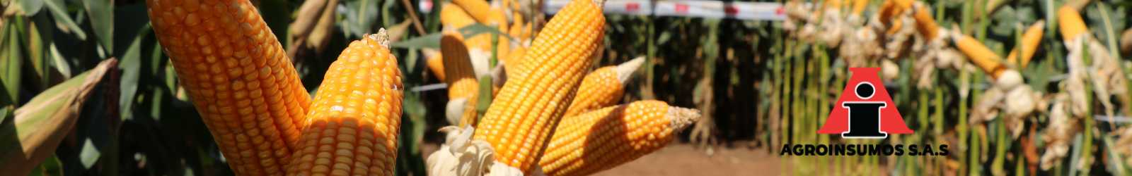 AGROINSUMOS | Croper