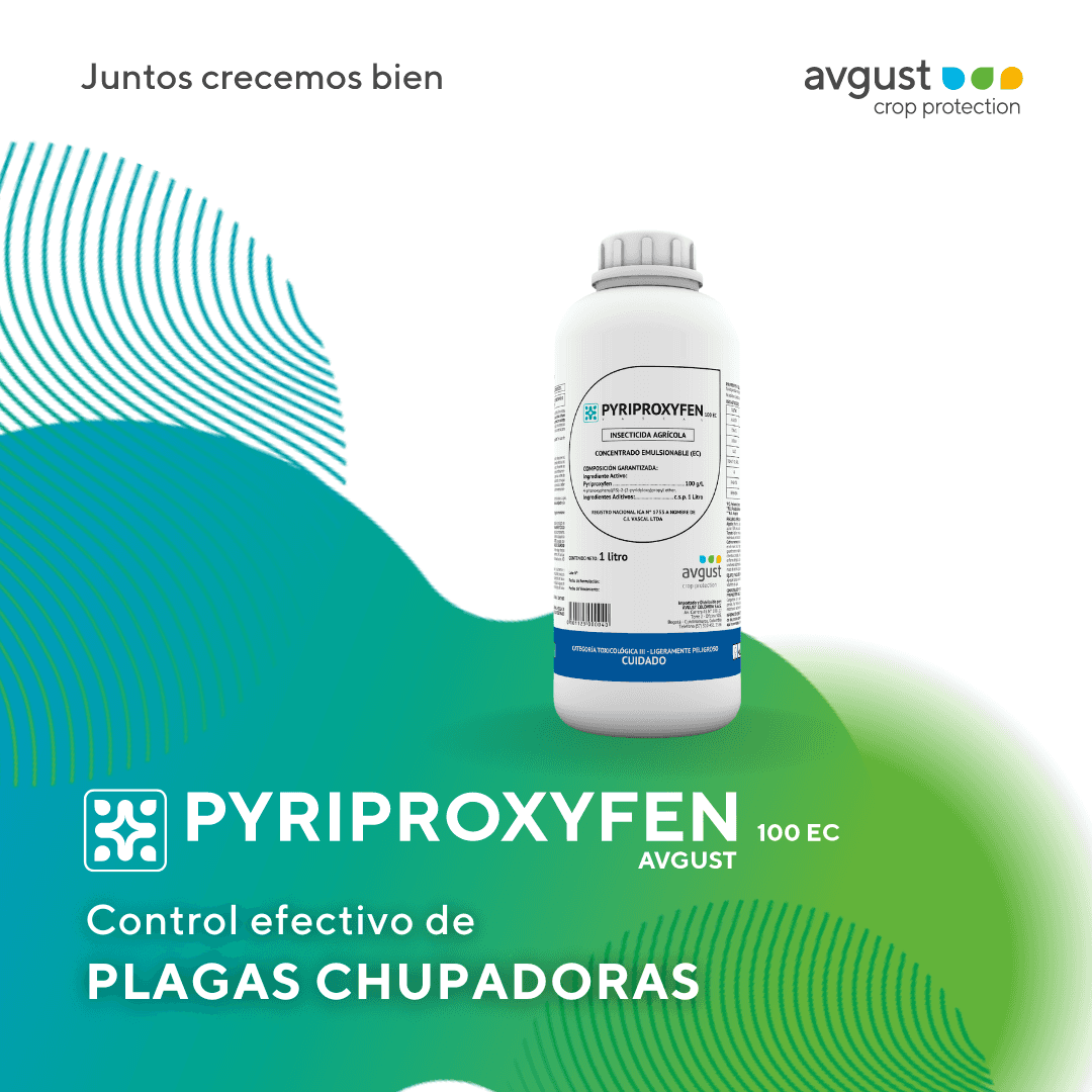 Pyriproxyfen 100 EC Croper Pyriproxyfen 100 EC Croper