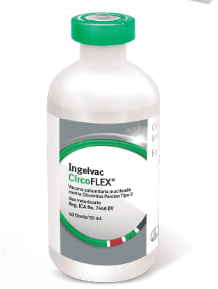 Ingelvac CircoFLEX | Croper