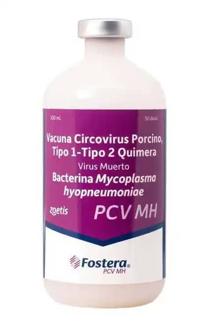 Vacuna Fostera® pcv mh x 100ml - Zoetis | Croper