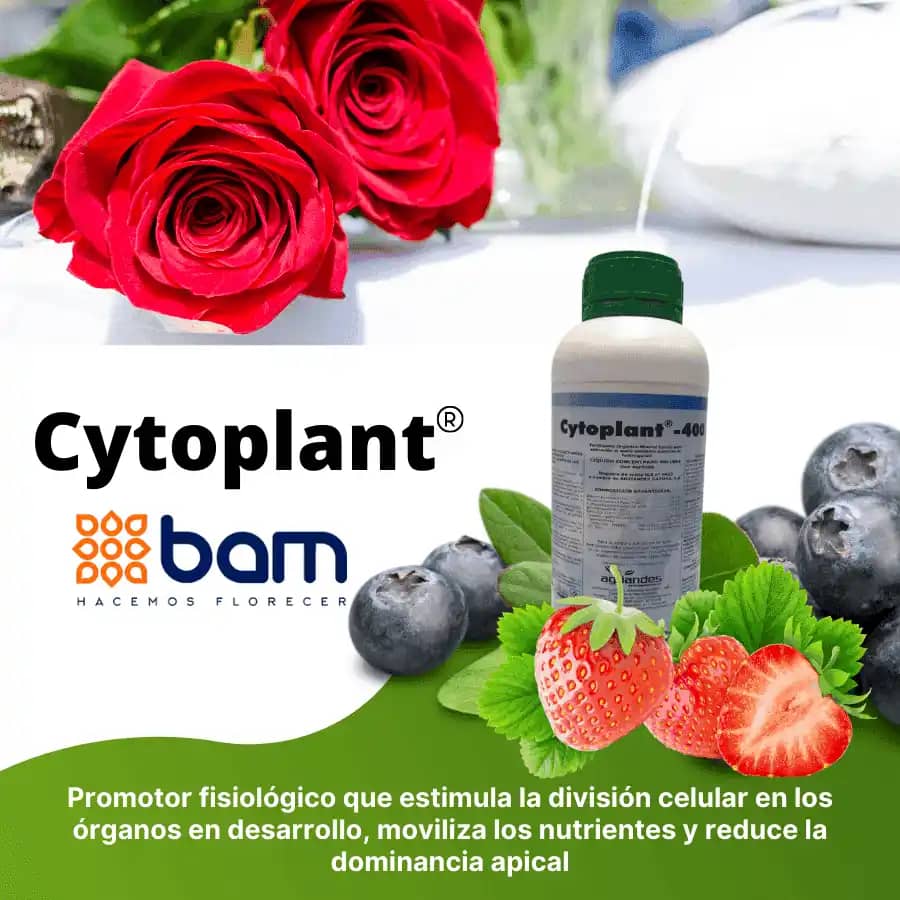 Bioestimulante Cytoplant 400, B. 0.1 X Litro | Croper