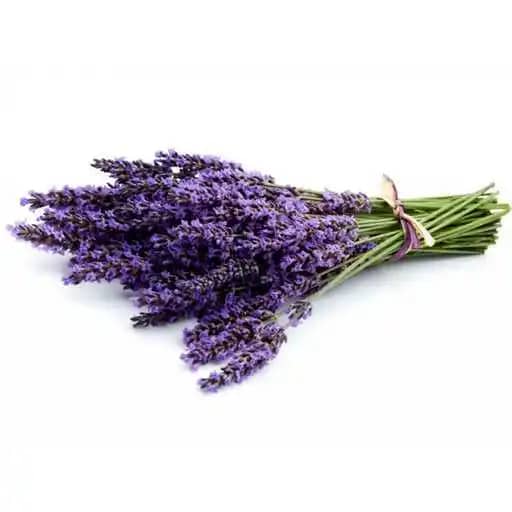 Semilla de Lavanda sobre x 1 gr | Croper
