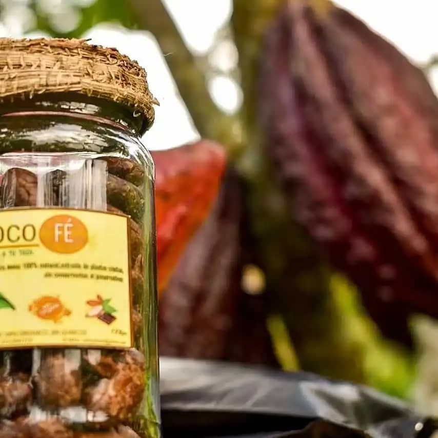 Chocofe chocolate de mesa 100% cacao orgánico | Croper
