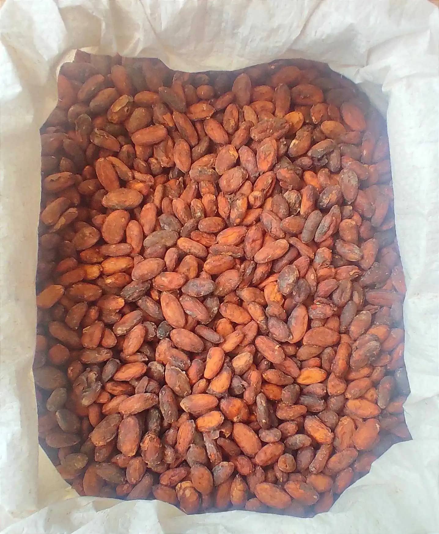 Almendra Seca Premiun de cacao 100% Natural | Croper