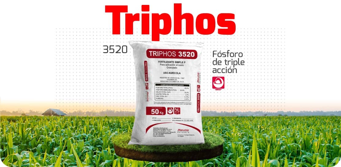 Fertilizante Triphos 10-25 Bulto por 50 Kilogramos | Croper