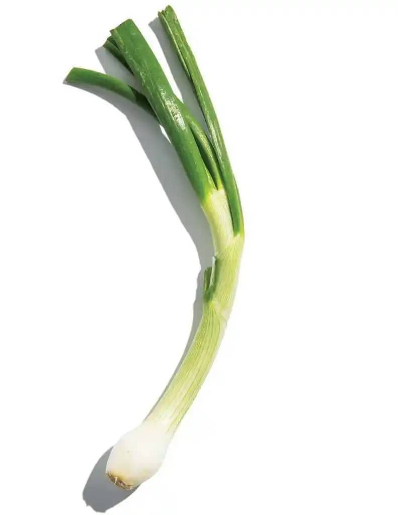 Semilla Cebolla Rama Nebuka x 5gr | Croper