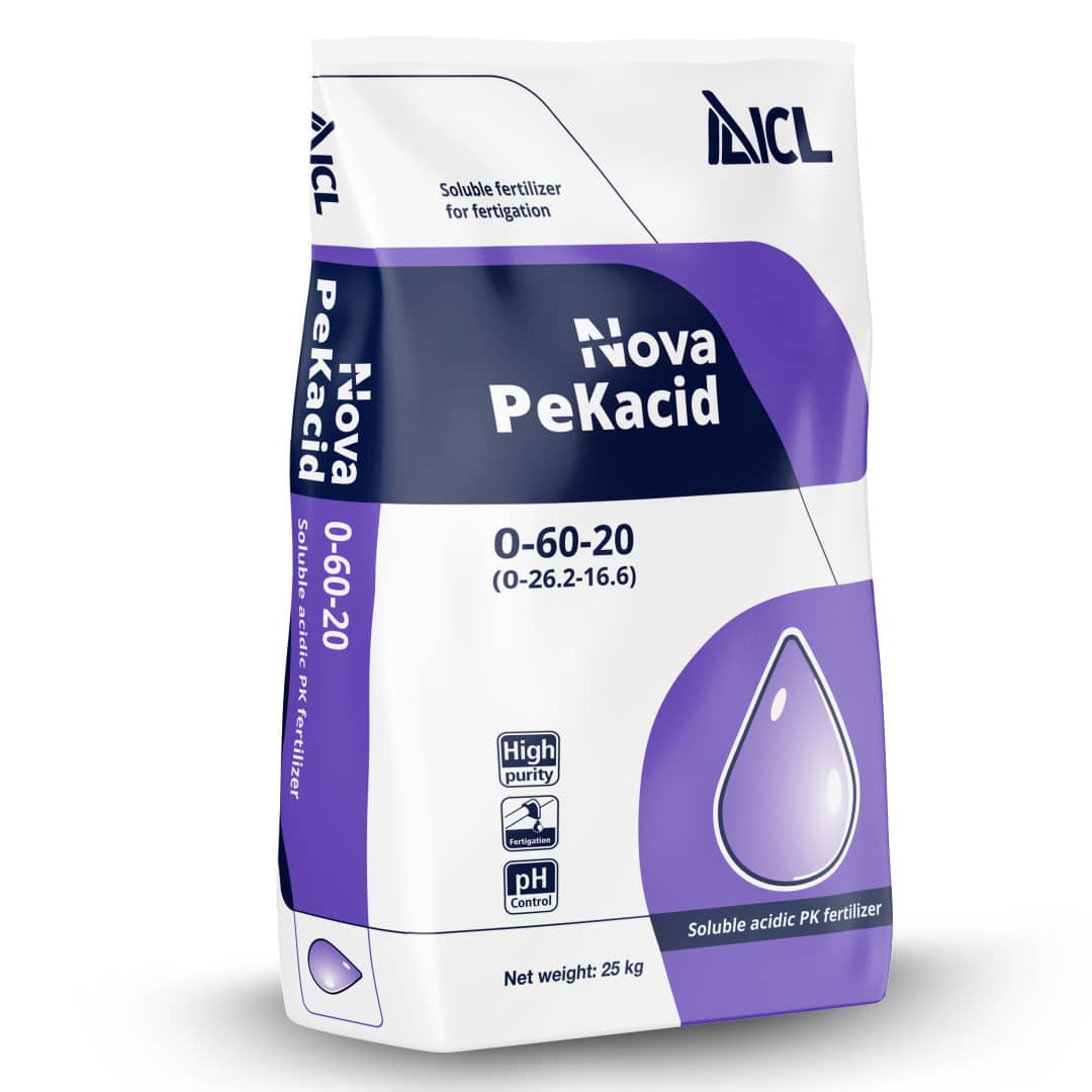 Fertilizante Soluble Nova Pekacid 0-60-20 x 25 Kg | Croper