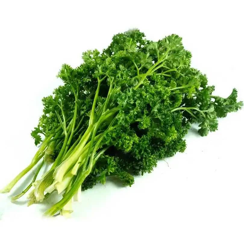 Semilla Perejil Crespo sobre x 5gr | Croper