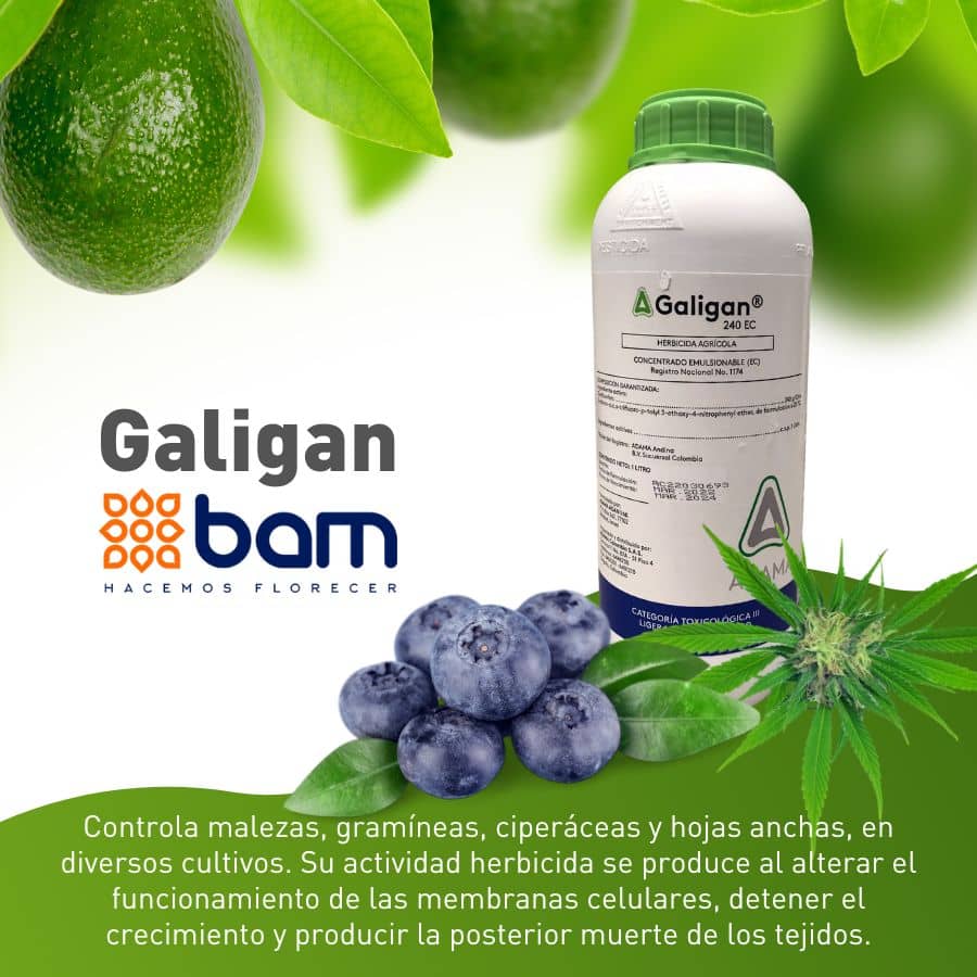 GALIGAN 240 EC | Croper