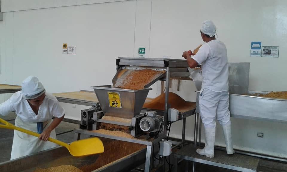 Zaranda Mecánica x 300kg/h | Croper