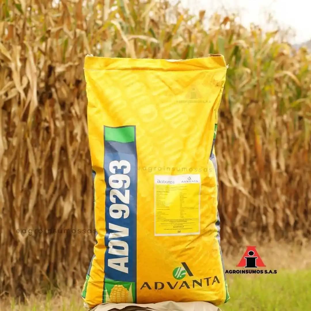 Semilla de Maíz Amarillo Convencional ADV 9293 | Croper