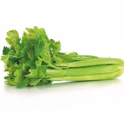 Semilla de Apio tall utah x 2 gr | Croper