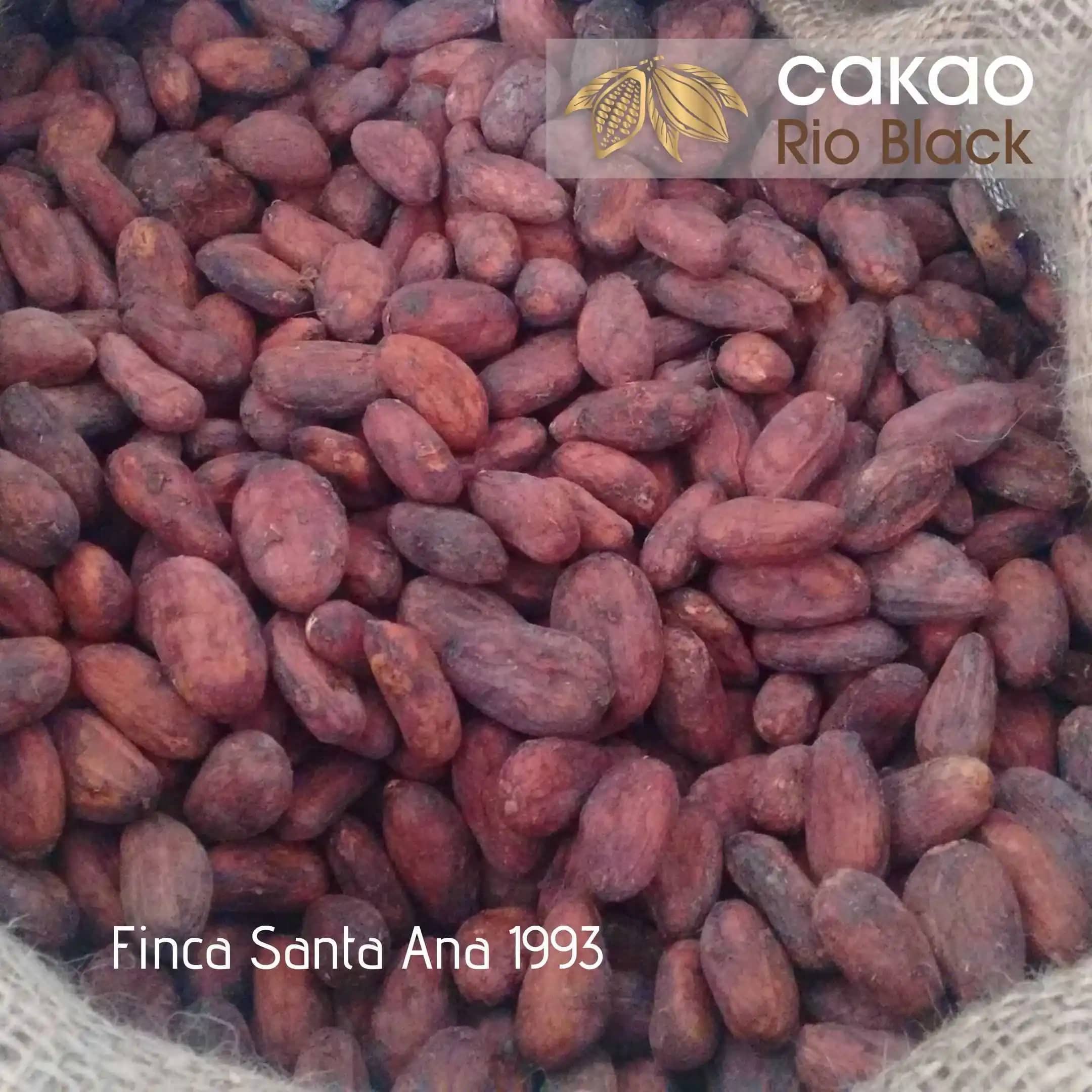 Cacao en Grano Premium X Kg - Cacao RioBlack | Croper