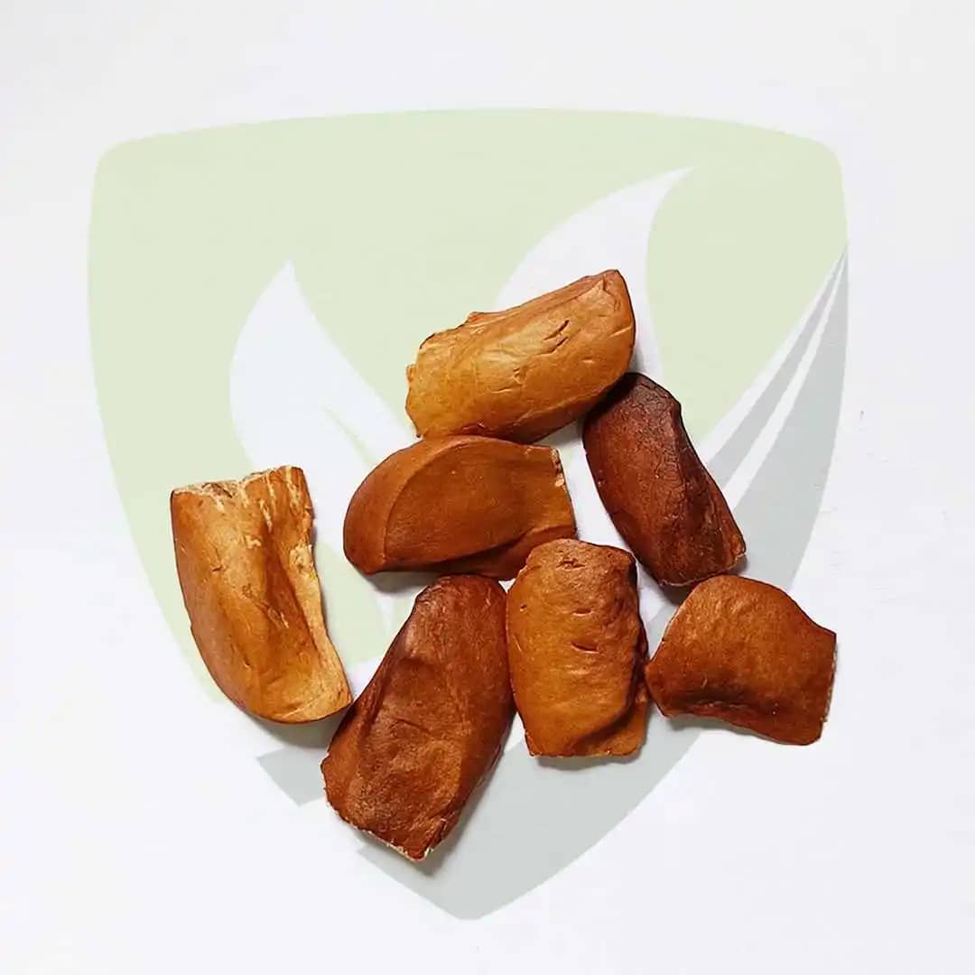 Semilla Caoba / Swietenia Macrophylla x 20gr | Croper