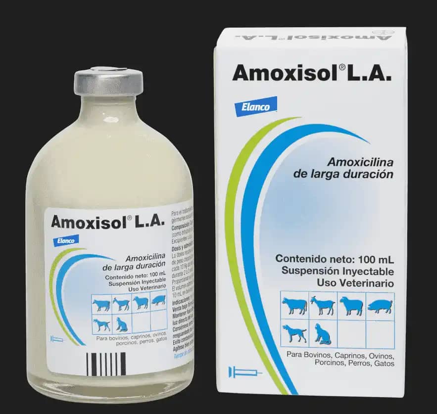 Antimicrobiano Amoxisol L.A x 100 y 50 Ml | Croper